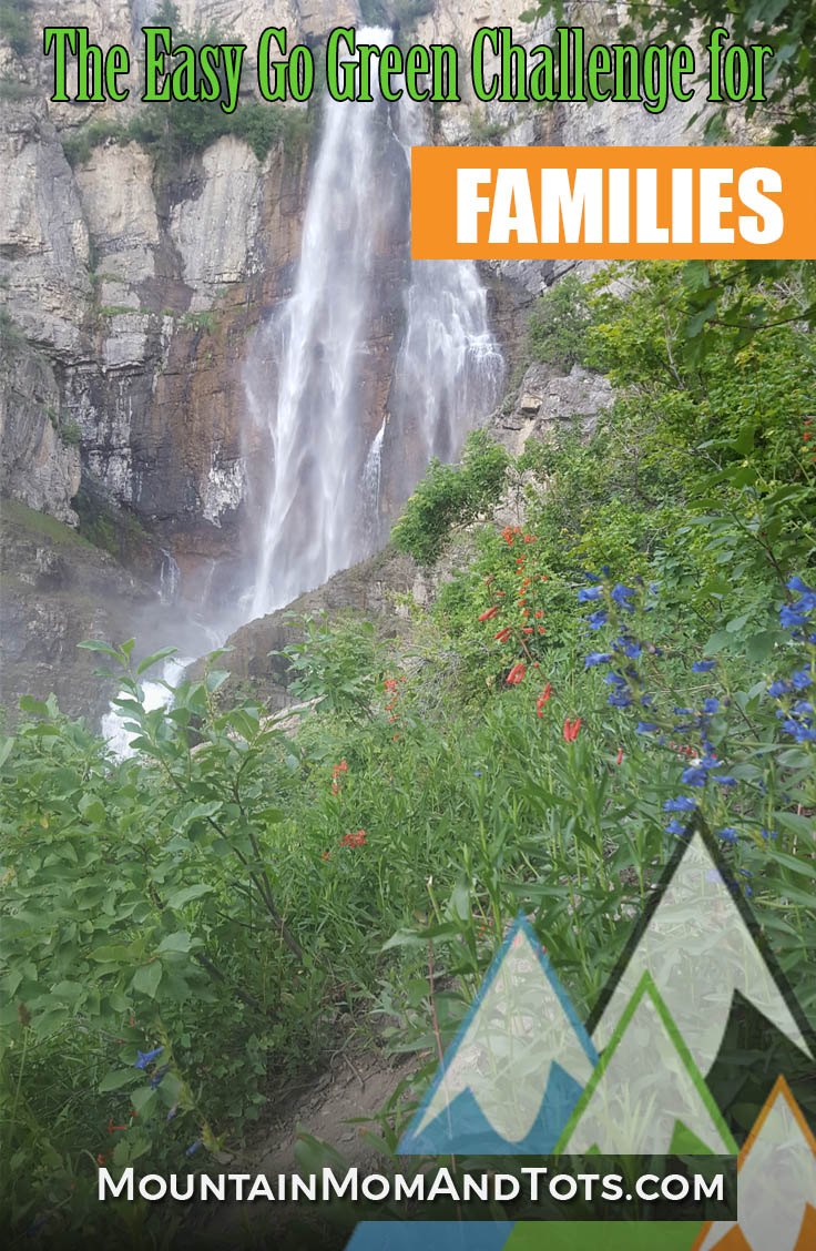 Tips for Eco-Friendly Families - April Go Green Challenge - Mountain ...